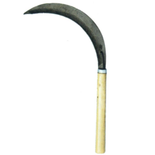 Karit - Mga Pahina [1] - World ensiklopediko kaalaman